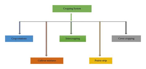 Different Types Of Cropping System Download Scientific Diagram