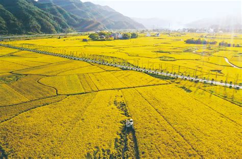 中国二十四节气金气秋分风清露冷秋期半 知乎
