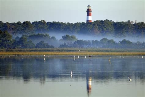 Discover Assateague Lighthouse