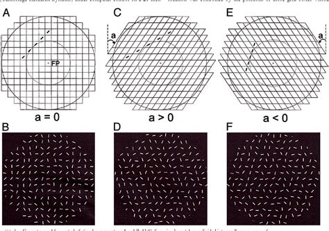Figure 1 From Global Contour Saliency And Local Colinear Interactions