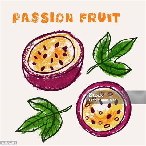 패션 프루츠 라인 아트와 컬러 핸드 그린 벡터 일러스트레이션 거친 크레용 스트로크 낙서 에 A 표현 느슨한 색칠 공부 책 스타일 패션프룻에 대한 스톡 벡터 아트 및 기타