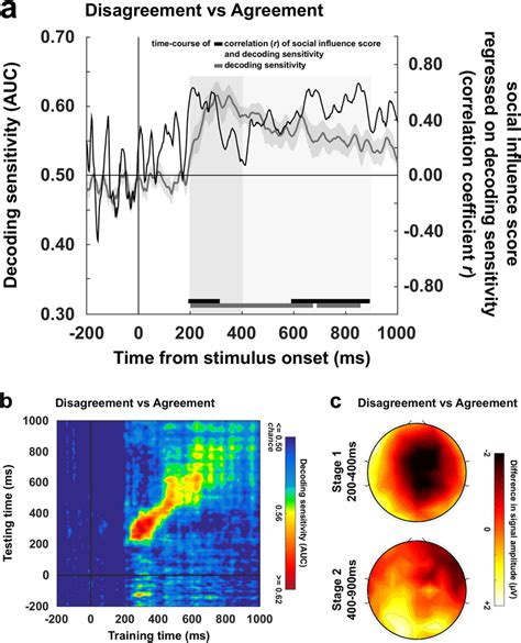 Decoding Stages Of Public Information Processing And Temporal