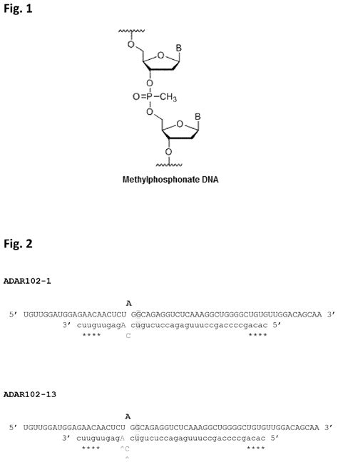 Chemically Modified Oligonucleotides For Rna Editing Eureka Patsnap