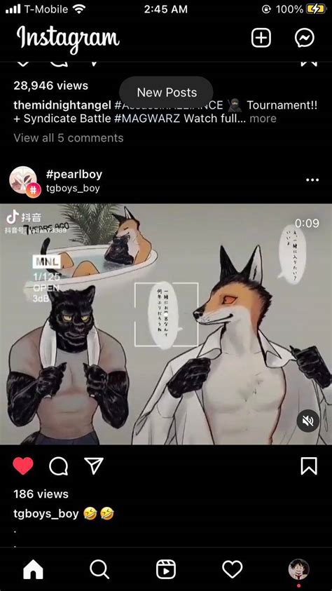 Can Someone Please Help Me Find This I Know Its Not Much To Go Off Of