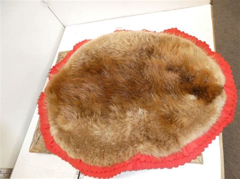 Beaver Pelt
