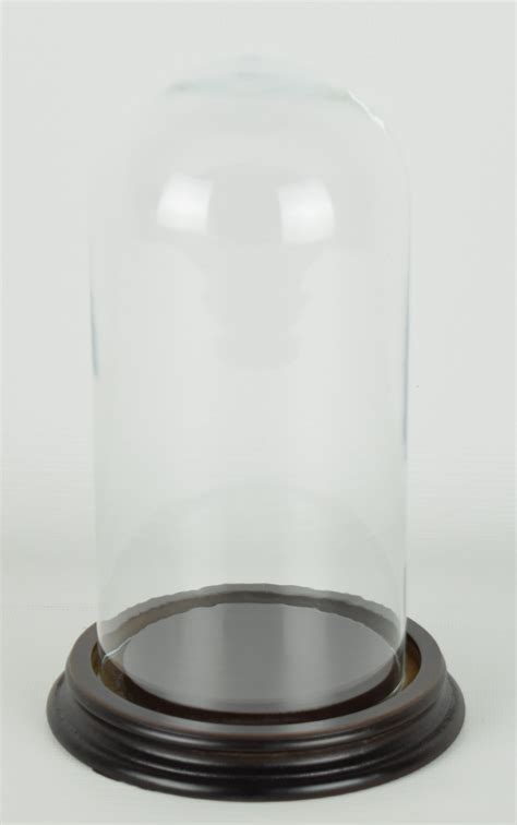 Vintage Look Small Glass Dome With Wooden Base Height 205 X 10 Cm