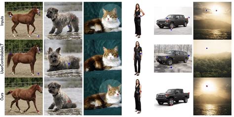 What Is Draggan Ai Photo Editor And How To Use It Dataconomy