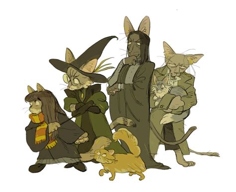 😽🎶 Ham Tuitui On Tumblr Cat Wizards Argus Filch Cat Kneazle Cat