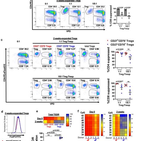 Cd27 And Cd70 Define Distinct Human Treg Subpopulations A Expression Of