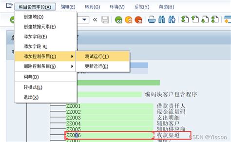 Sap Cording Block维护客户化字段abap Codingblock Csdn博客
