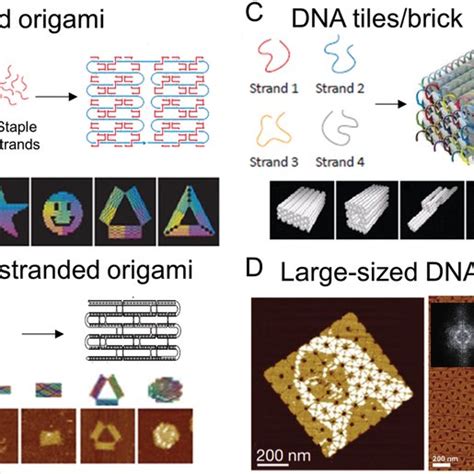 Dna‐templated Dielectric And Semiconductor Nanostructures Of A Sio2
