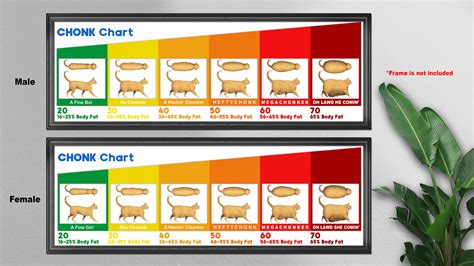 Obese Cat Chart