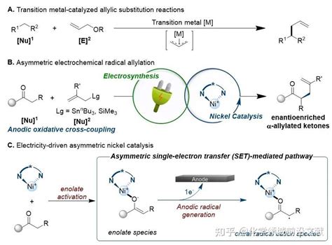 中国科大郭昌angew Chem：镍催化的不对称电化学自由基烯丙基化反应 知乎