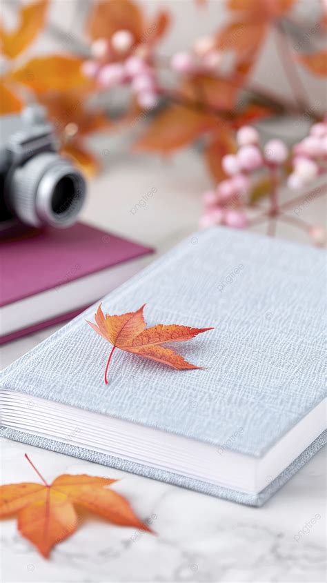 노트북 꽃병과 디지털 카메라를 갖춘 책상 장식 배경 배경 화면 및 일러스트 무료 다운로드 Pngtree