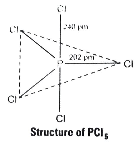 In PCl 5 Phosphorus Is In Sp 3 D Hybridised State But All Its Five