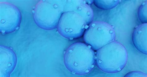 New Updates In Nsclc Targeted Therapy Champions Oncology Inc Posted