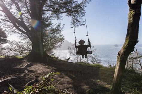 Rear View Of Man Swinging By Tree Against Sea On Sunny Day Stock Photo