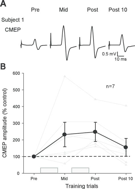 Corticospinal Responses In Fdi During The Ballistic Task A Cmep