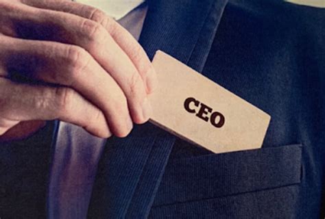 기업고위임원조직관리자 저세상 연봉 하는일은