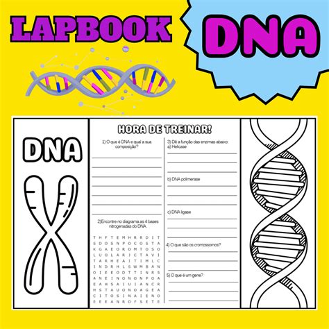 Diagrama Genetico Do Dna Modificação Genética Crispr Iberdrola