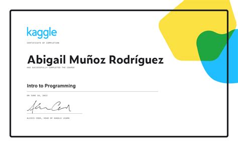 Abigail Muñoz Rodríguez Completed The Intro To Programming Course On
