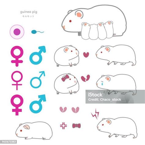 다양한 크기의 주사기 기니피그의 벡터 그림 세트가 주입되고 있습니다 공격성에 대한 스톡 벡터 아트 및 기타 이미지 공격성 과학 과학 실험 Istock