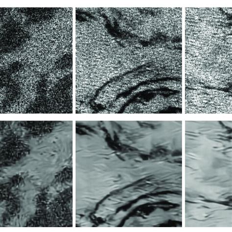 Examples Of Effective Denoising A Original Images From The Palsar Download Scientific