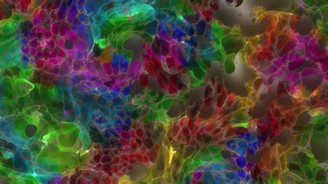 Abstract Colorful Wavy Animation Multicolor Liquid Background Beautiful Gradient Texture