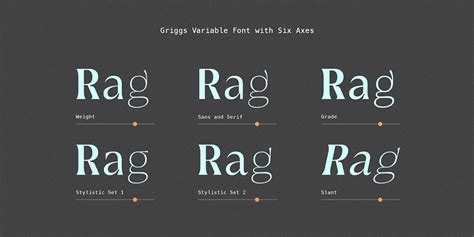 Griggs Variable Typeface Behance