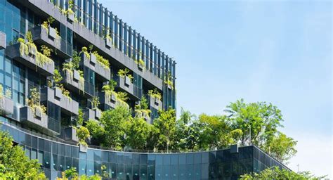 How Sushen Mohan Guptas Vision Is Greening The South Indian Hospitality Industry Sushen Mohan