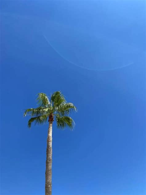 Пин от пользователя Julia на доске Ваши пины