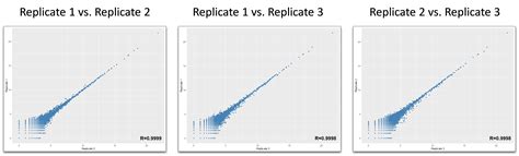 Small Rna Seq Kits • Nucleus Biotech