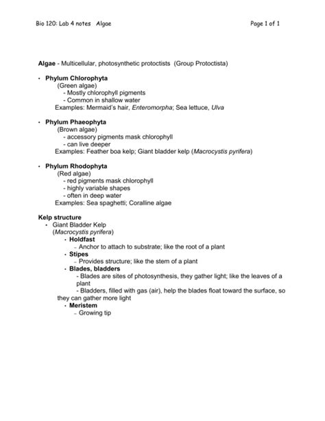 Algae Lab Notes