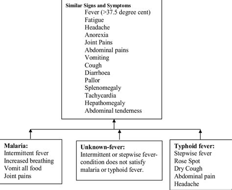 Simple Differential Diagnostic Model For Diagnosing Malaria Typhoid Download Scientific