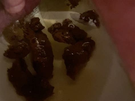 Bunch Of Solid Logs ThisVid Com