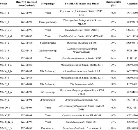 Molecular Characterizations Of Isolates Download Table