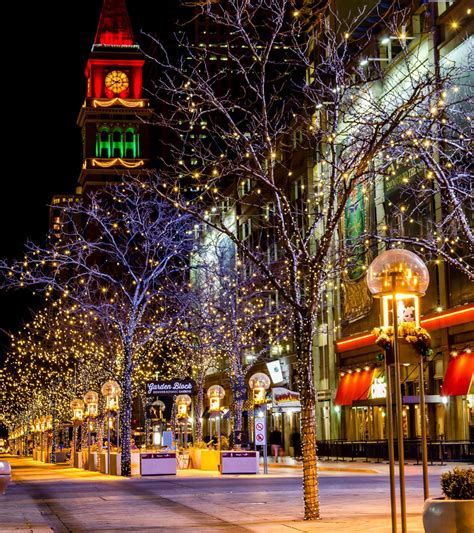 9 Best Christmas Lights In Denver That Are A Must See In 2024