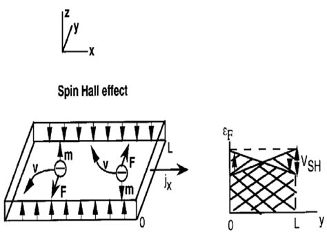 2 Principle Of The Spin Hall Effect Download Scientific Diagram