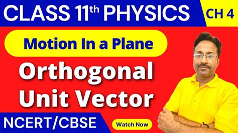 What Is Unit Vector Class 11 At Patricia Henderson Blog
