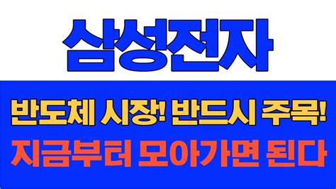 삼성전자 반도체 시장 반드시 주목 지금부터 모아가시면 됩니다 삼성전자주가 삼성전자주가전망 삼성전자전망 Youtube