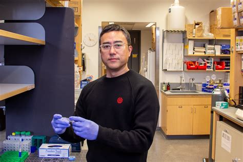 Borrowing Natures Blueprint How Scientists Replicated Bone Marrow