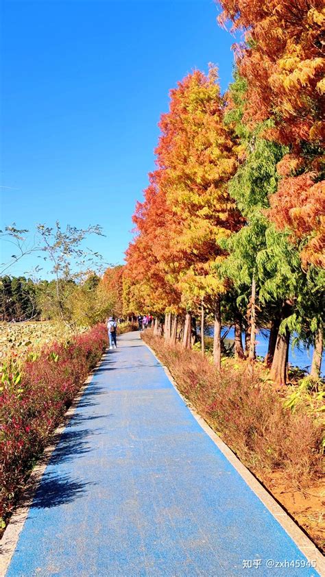 柳暗花明又一村 知乎