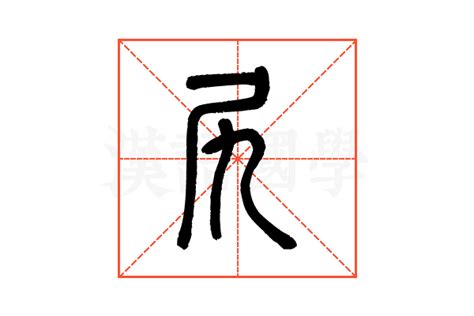 尻的说文解字解释 尻的说文解字原文 汉语国学
