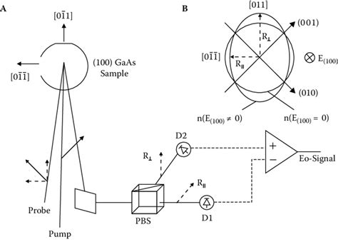 2 A Experimental Setup For The Time Resolved Detection Of Anisotropic Download Scientific