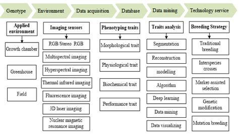 跨越表现型和基因型之间的桥梁 先进成像技术在森林表型上的应用综述 知乎