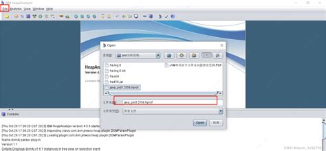 使用 ibm heapanalyzer 分析堆转储快照文件的 ibm heapanalyzer使用教程 csdn博客