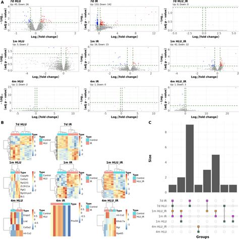 Differential Gene Expression In Exposure Groups A Volcano Plots Download Scientific Diagram