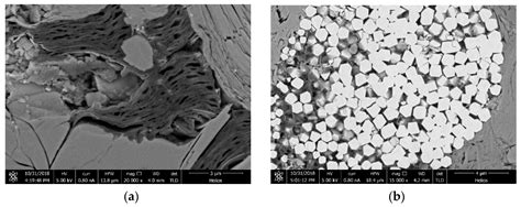 Characteristics Of Micronano Pores In Shallow Shale Gas Reservoirs And Their Controlling