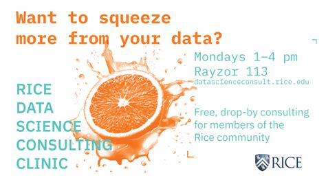 Data Science Consulting At Rice University