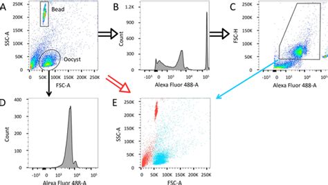 Validation Of A Flow Cytometry Based Method To Quantify 52 Off